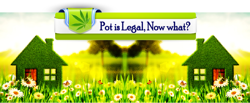 Four Legal Pot Plants, What Are Lenders Doing? - Debra Carlson Dominion ...