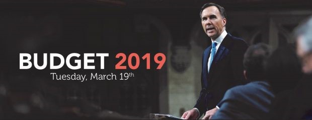 Nuts and Bolts of the Federal 2019 Budget. What you REALLY need to know ...